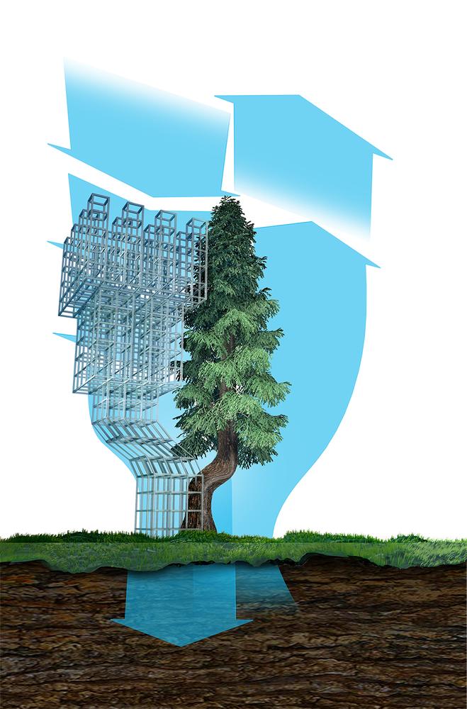 DESY News: Novel materials – inspired by water! - Deutsches Elektronen ...